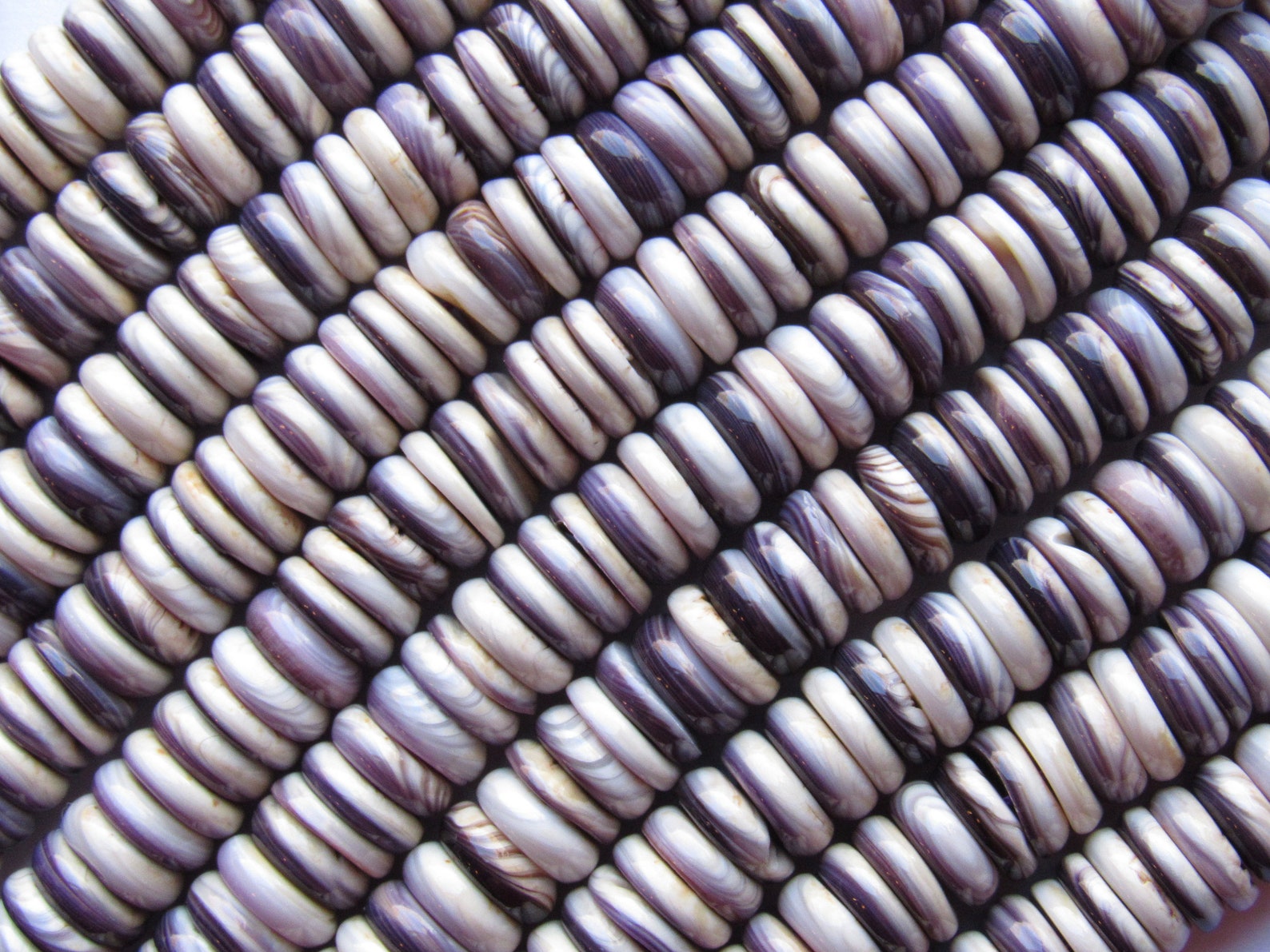 Wampum Shell BEADS 10mm Natural Quahog Shell Mercendaria USA - Etsy
