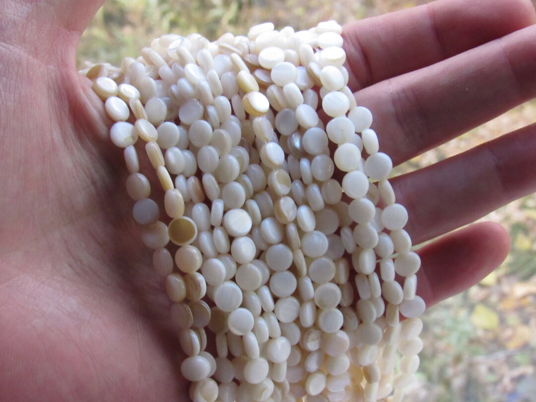 6mm Coin Shell BEADS Natural Undyed Flat Round Length Drilled Bead ...