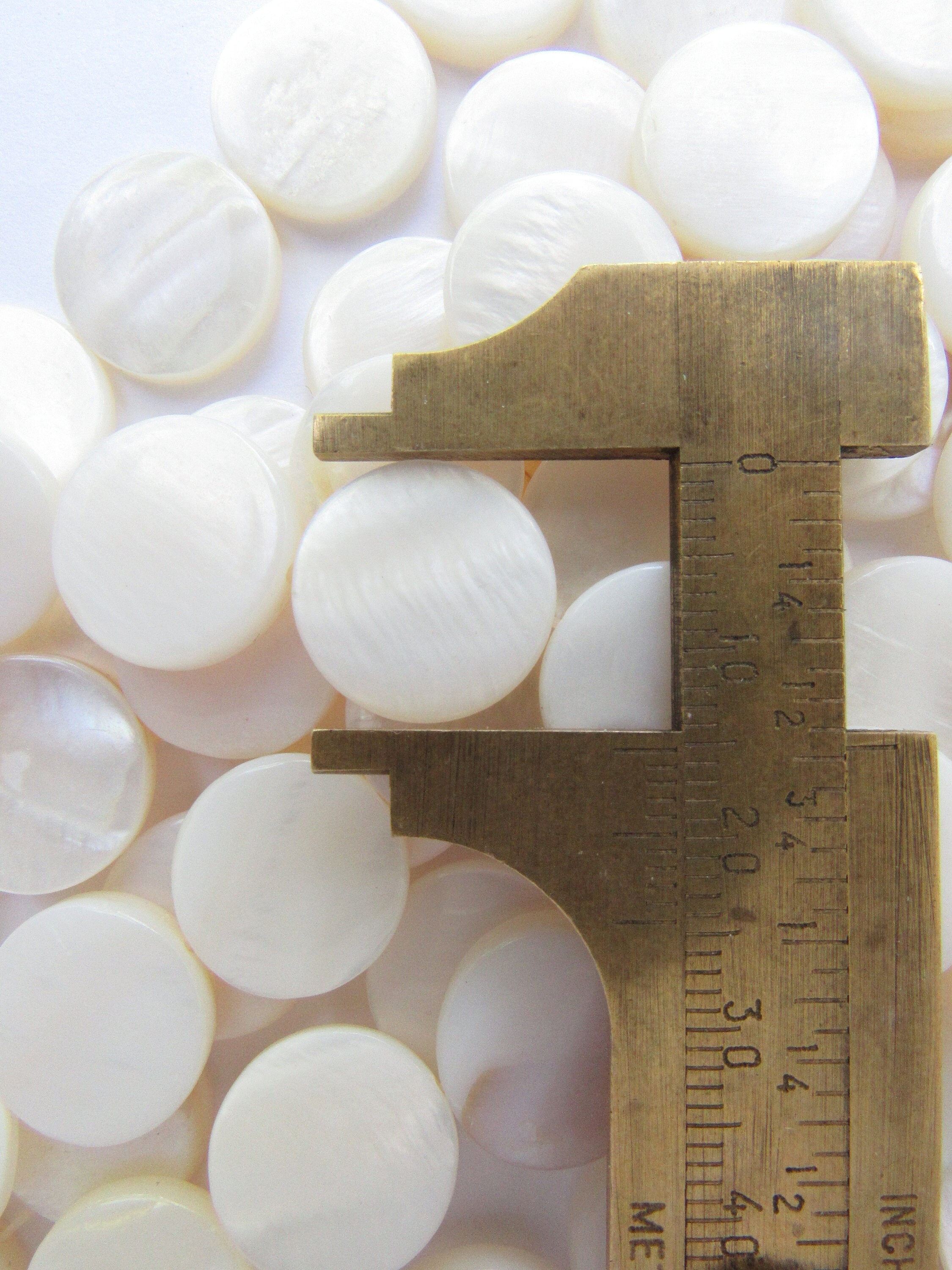 White Shell BEADS Bead Supply 15mm Flat COIN Flat Round White - Etsy