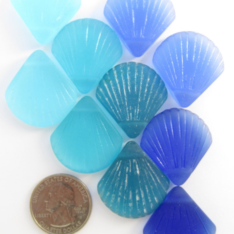 Art Glass Shells Etsy