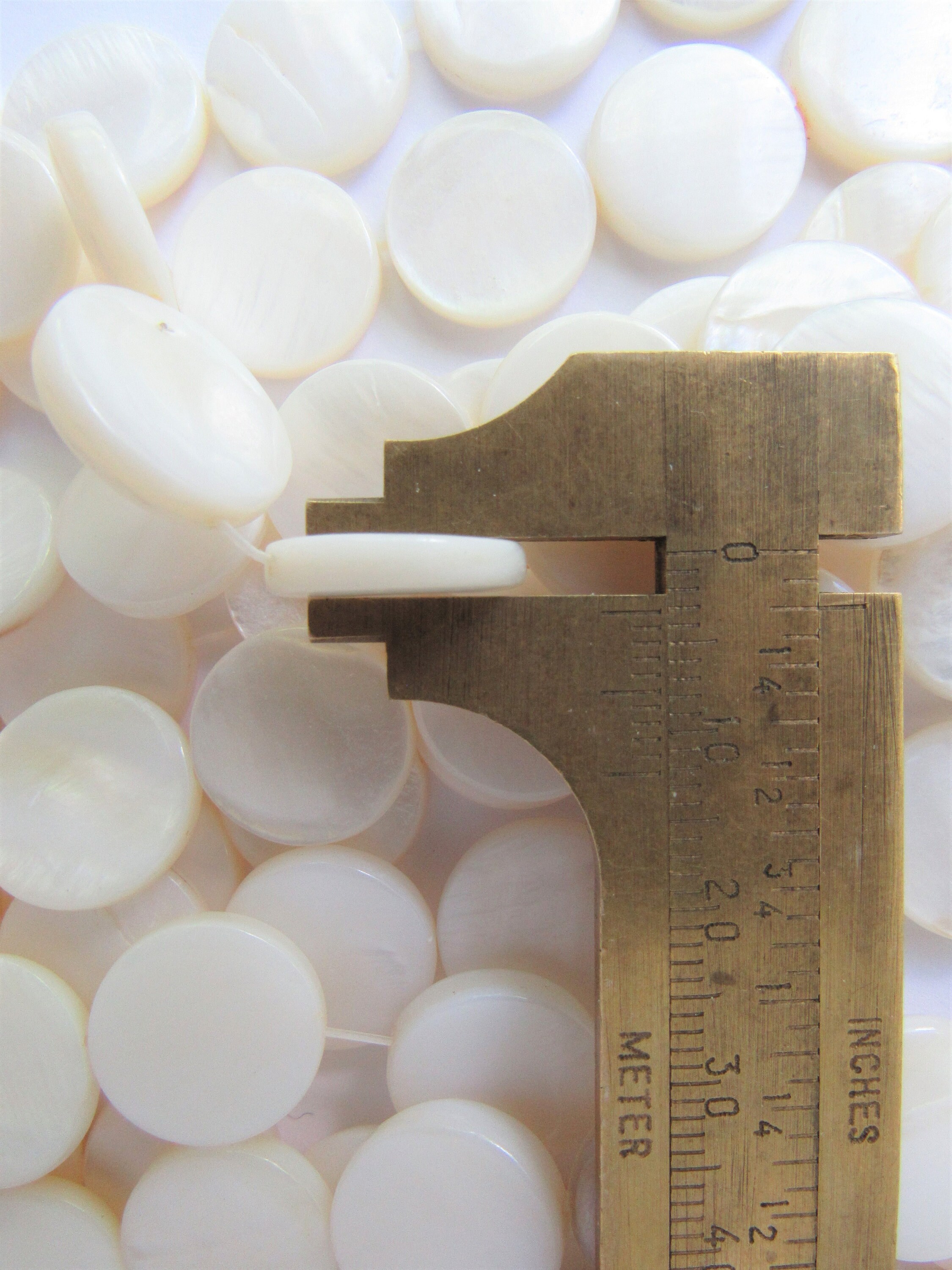 White Shell BEADS Bead Supply 15mm Flat COIN Flat Round White - Etsy