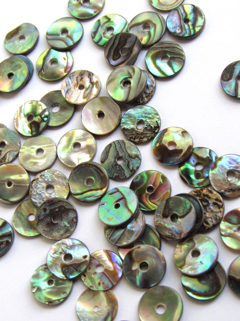 Natural Abalone Shell Beads: 10mm Flat Round, Iridescent Jewelry Supply ...