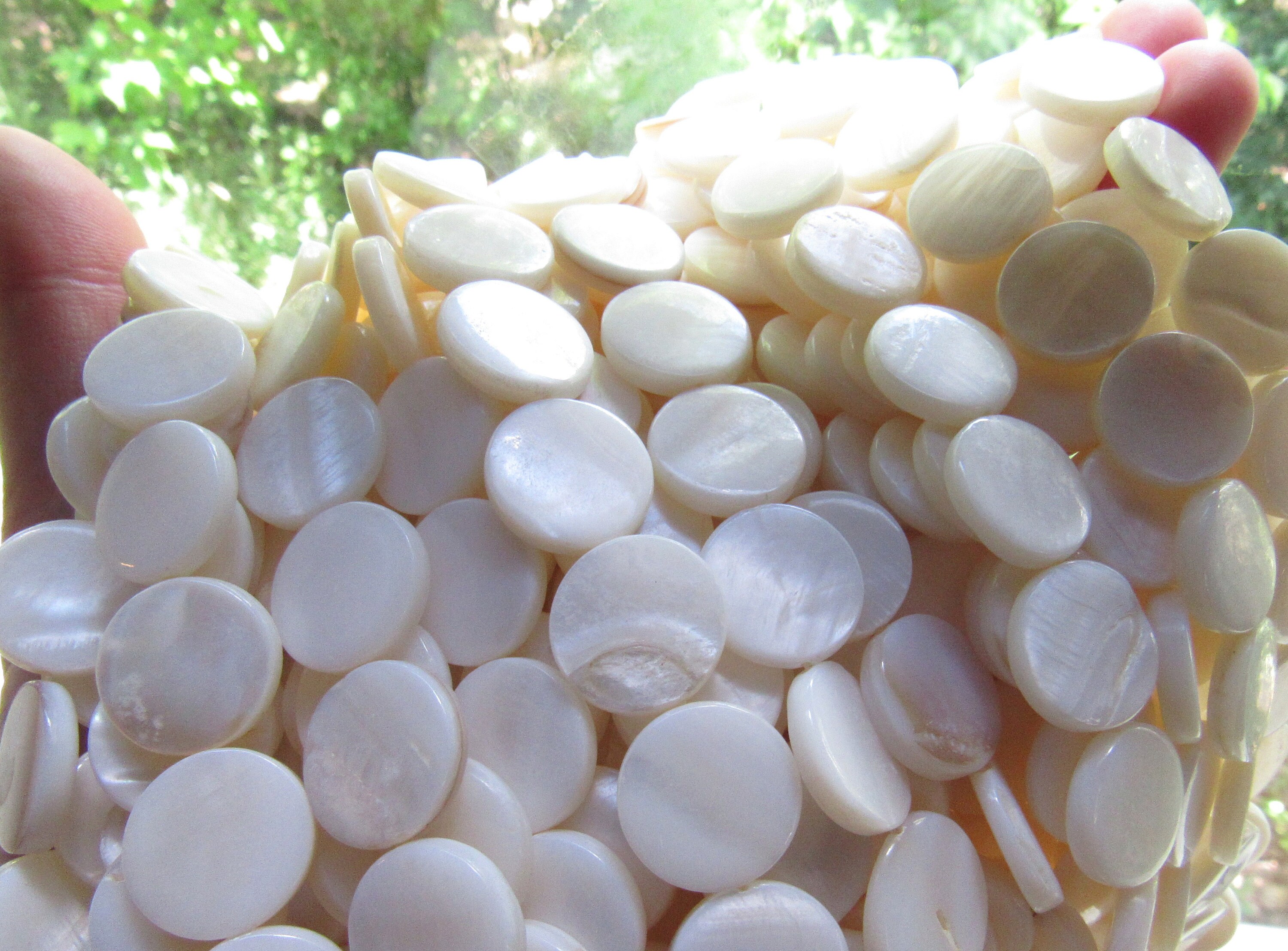 White Shell BEADS Bead Supply 15mm Flat COIN Flat Round White - Etsy