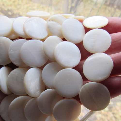White Shell BEADS Bead Supply 15mm Flat COIN Flat Round White - Etsy