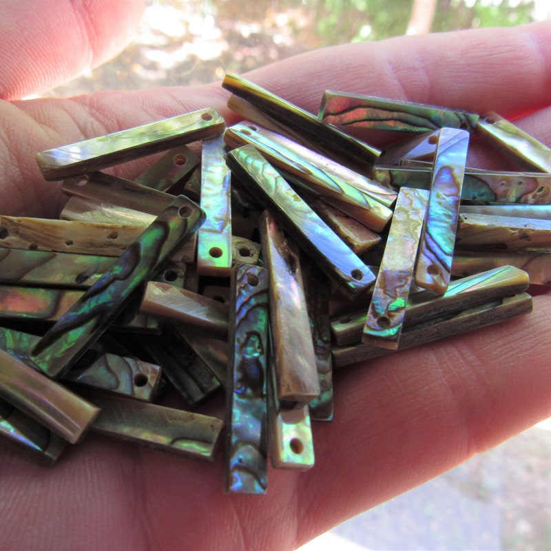 Abalone Shell Charm - Etsy