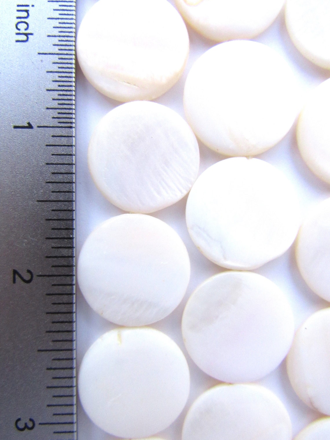 Natural White Shell COIN BEADS 20mm Flat Round Bead Supply Diy Making ...