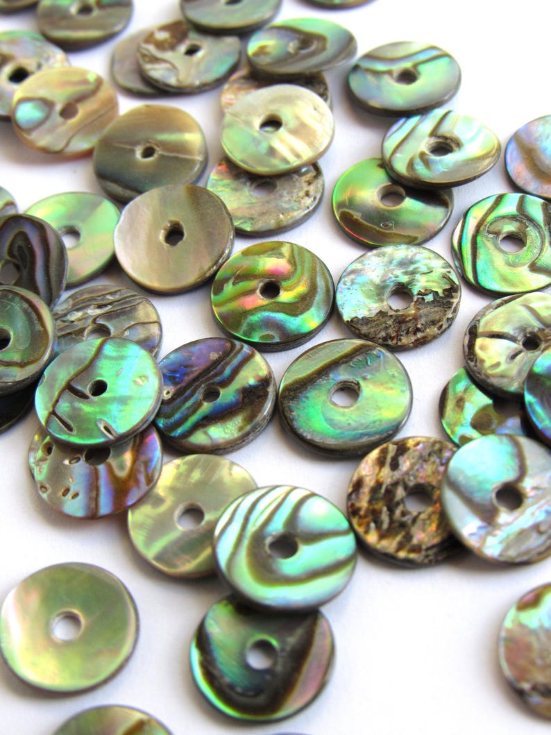 Natural Abalone Shell Beads: 10mm Flat Round, Iridescent Jewelry Supply ...