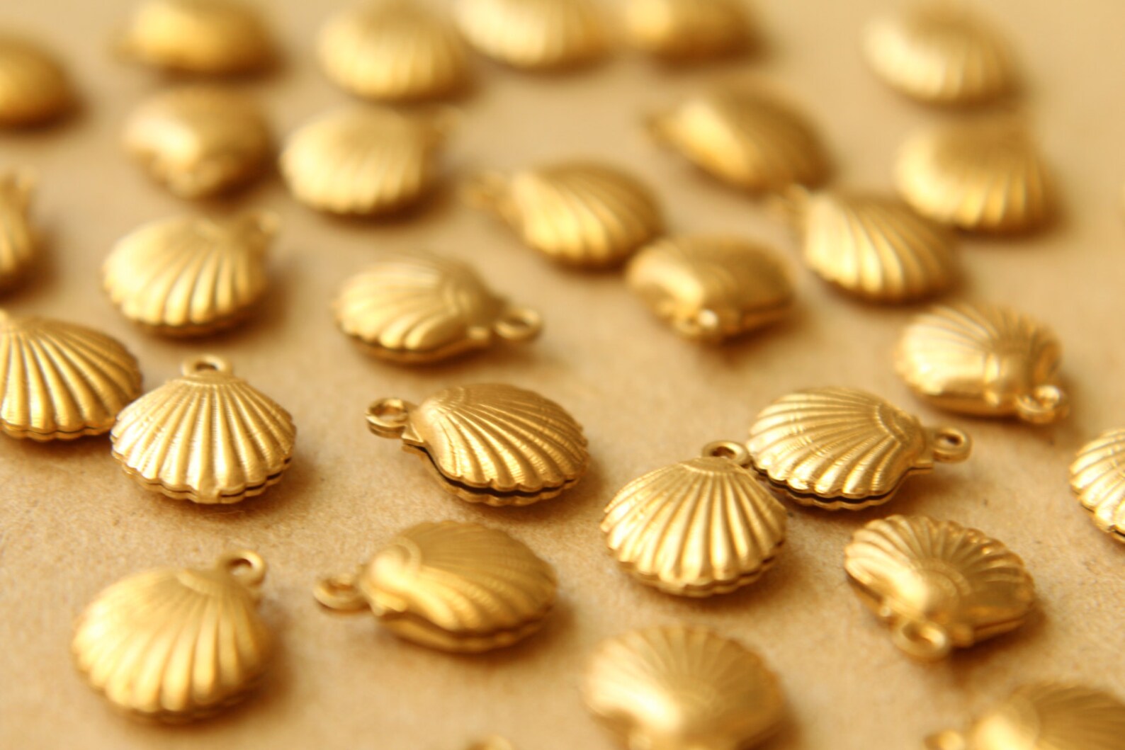 4 Pc. Tiny Raw Brass Double-sided Seashells: 9mm by 12mm - Etsy