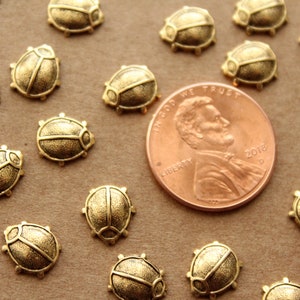 8 Pc. Tiny Raw Brass Beetles: 8.5mm by 8mm - Made in USA Insect Spring ...