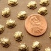 8 Pc. Tiny Raw Brass Beetles: 8.5mm by 8mm Made in USA Insect Spring ...