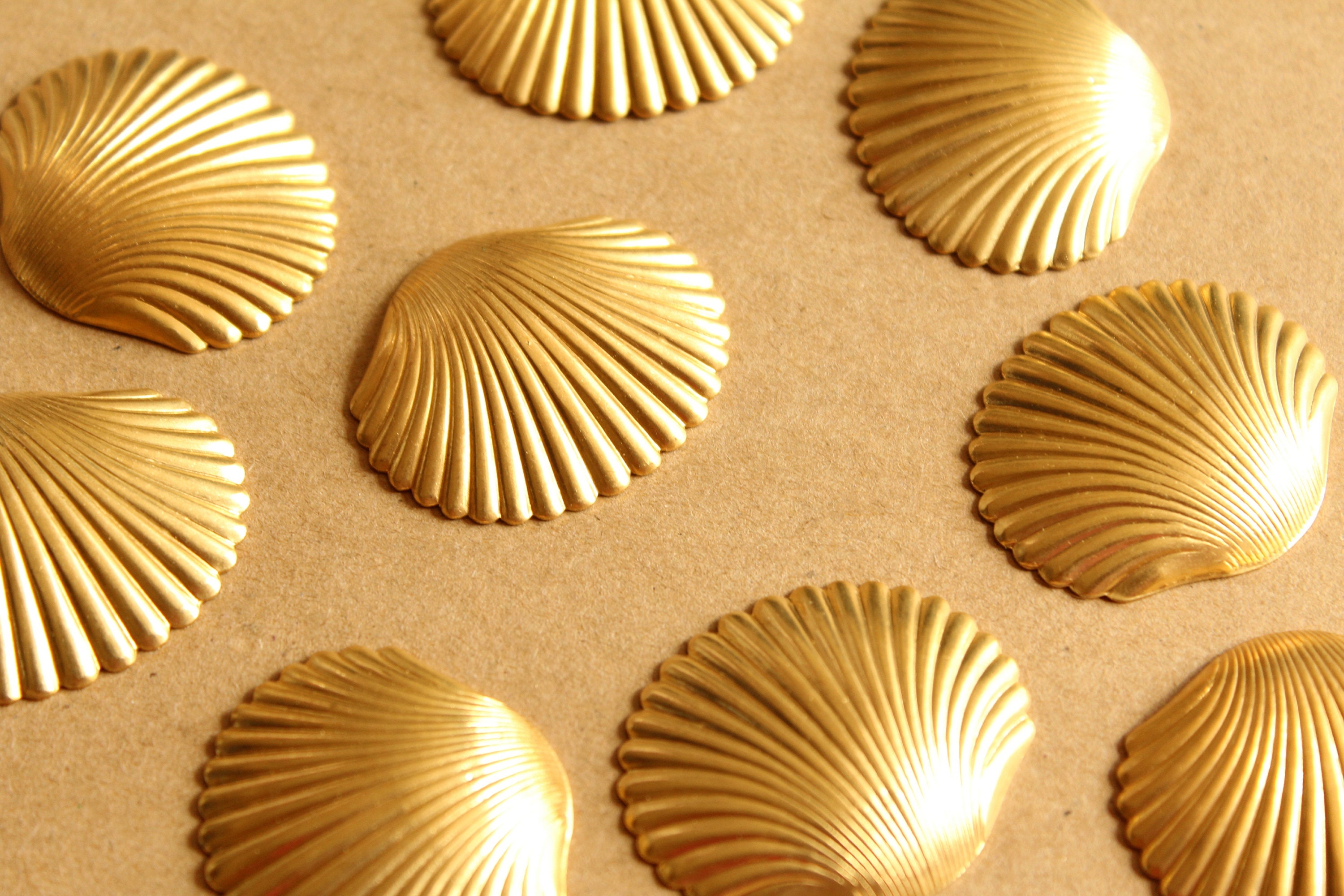 2 pc. Large Raw Brass Seashells: 37.5mm by 31mm made in USA | Etsy