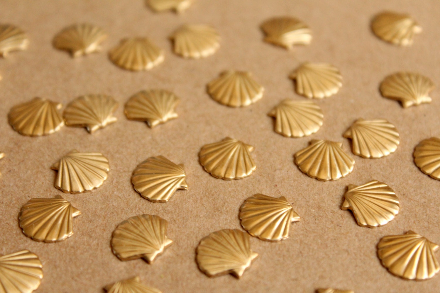 20 Pc. Small Raw Brass Seashells: 10mm by 11.5mm Made in USA - Etsy