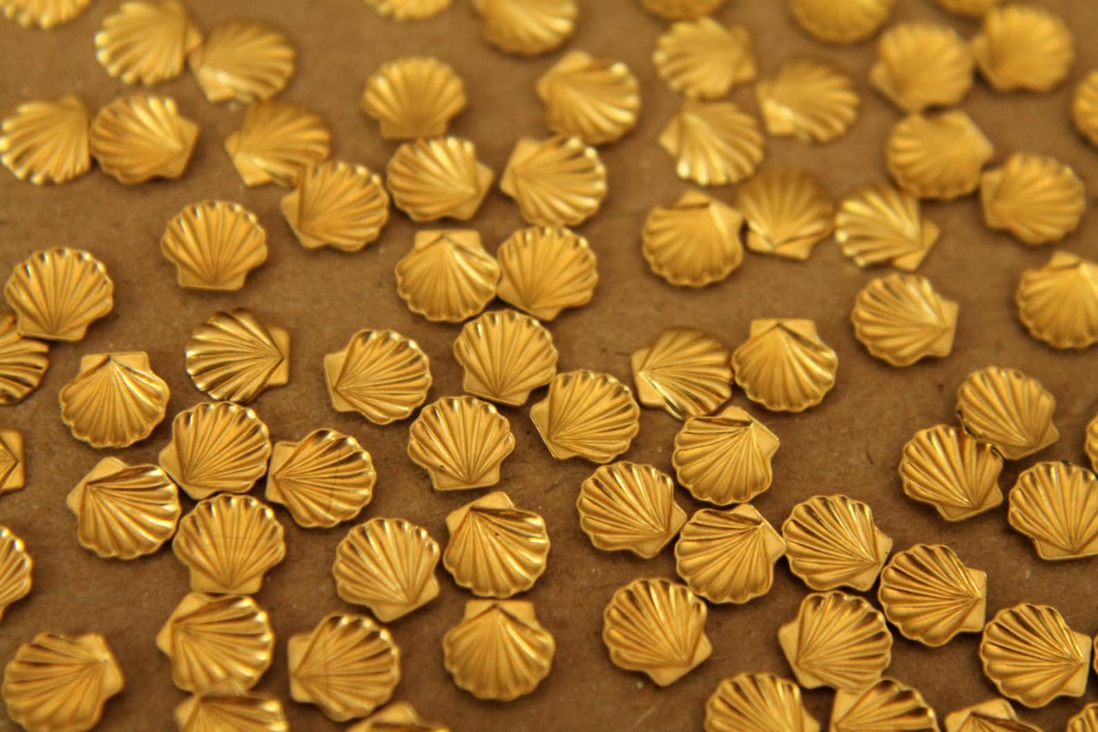 12 Pc. Tiny Raw Brass Seashells: 6mm by 6mm Made in USA Sea - Etsy