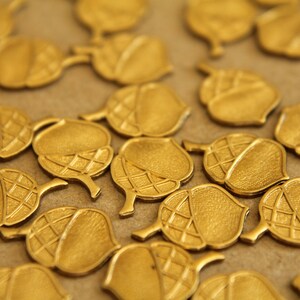 6 Pc. Raw Brass Flat Acorns: 10mm by 15mm Made in USA | Etsy