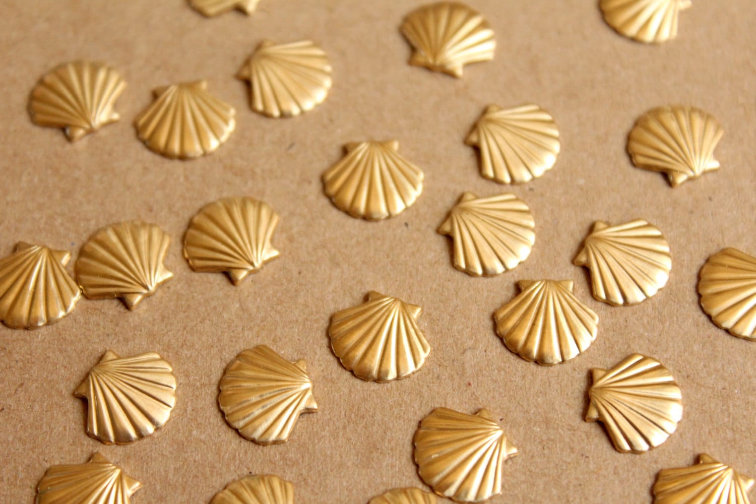 20 Pc. Small Raw Brass Seashells: 10mm by 11.5mm Made in USA - Etsy