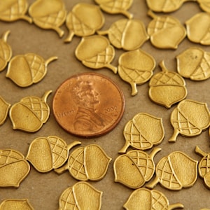 6 Pc. Raw Brass Flat Acorns: 10mm by 15mm Made in USA - Etsy