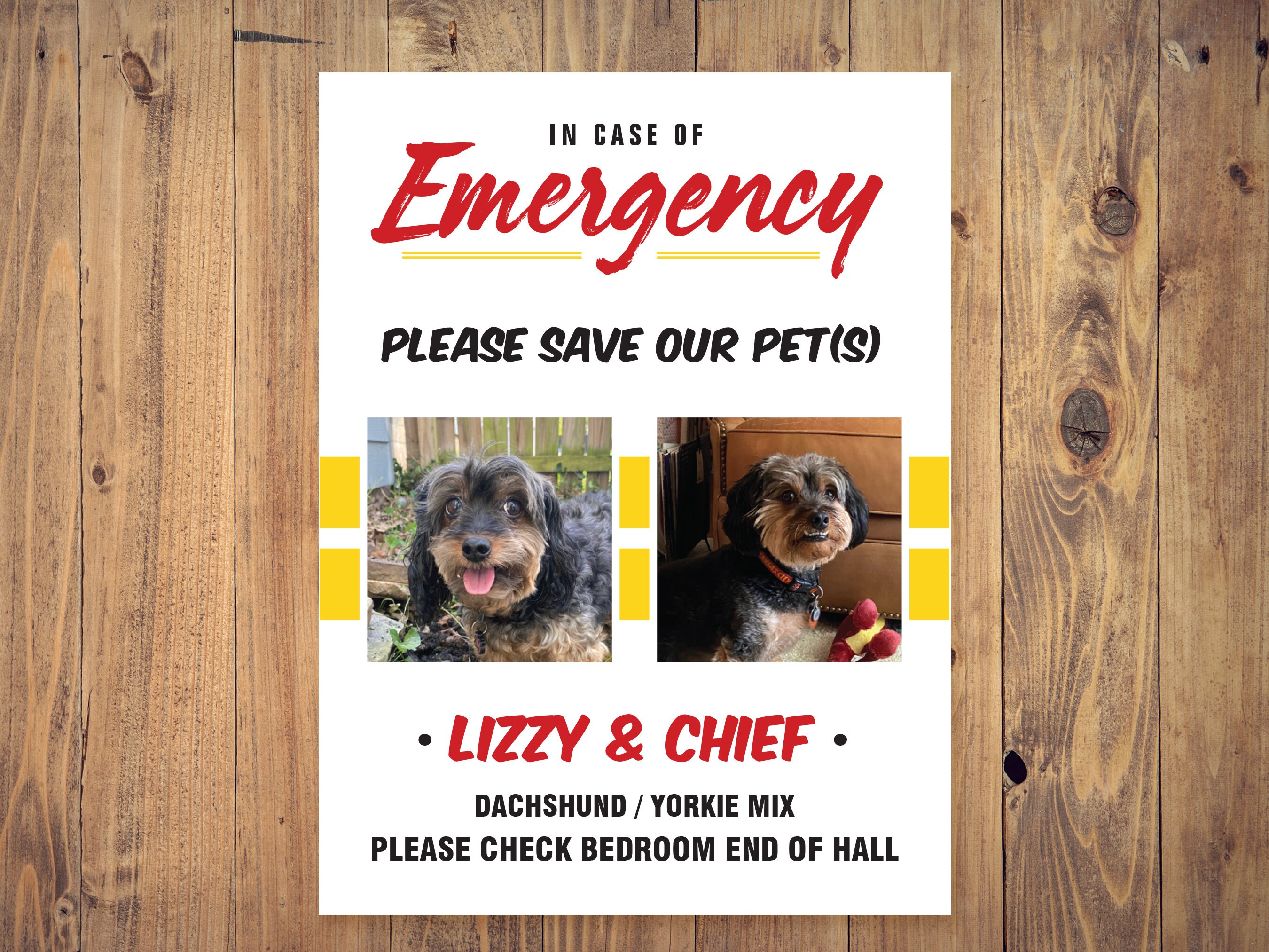 Personalized Emergency Pet Decals, Stickers. Pet Rescue Cards That YOU ...