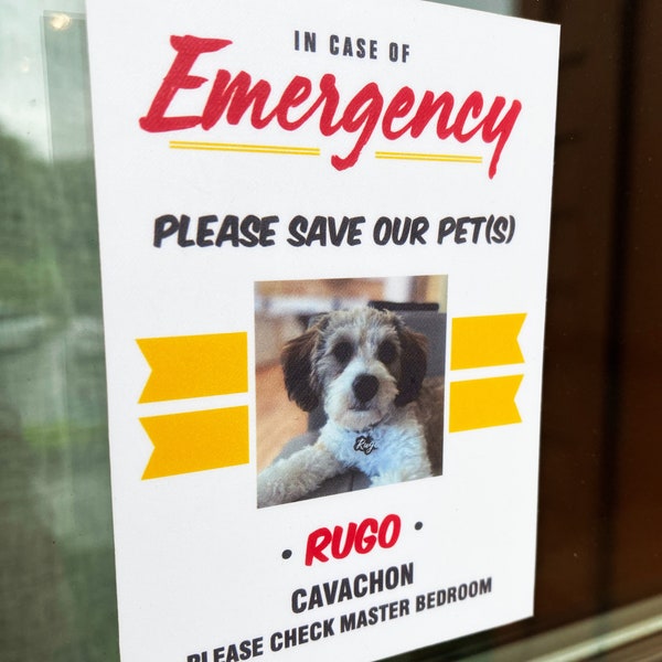 Inside Car Window Custom Decals - Etsy