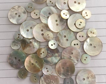 Shell buttons | Etsy