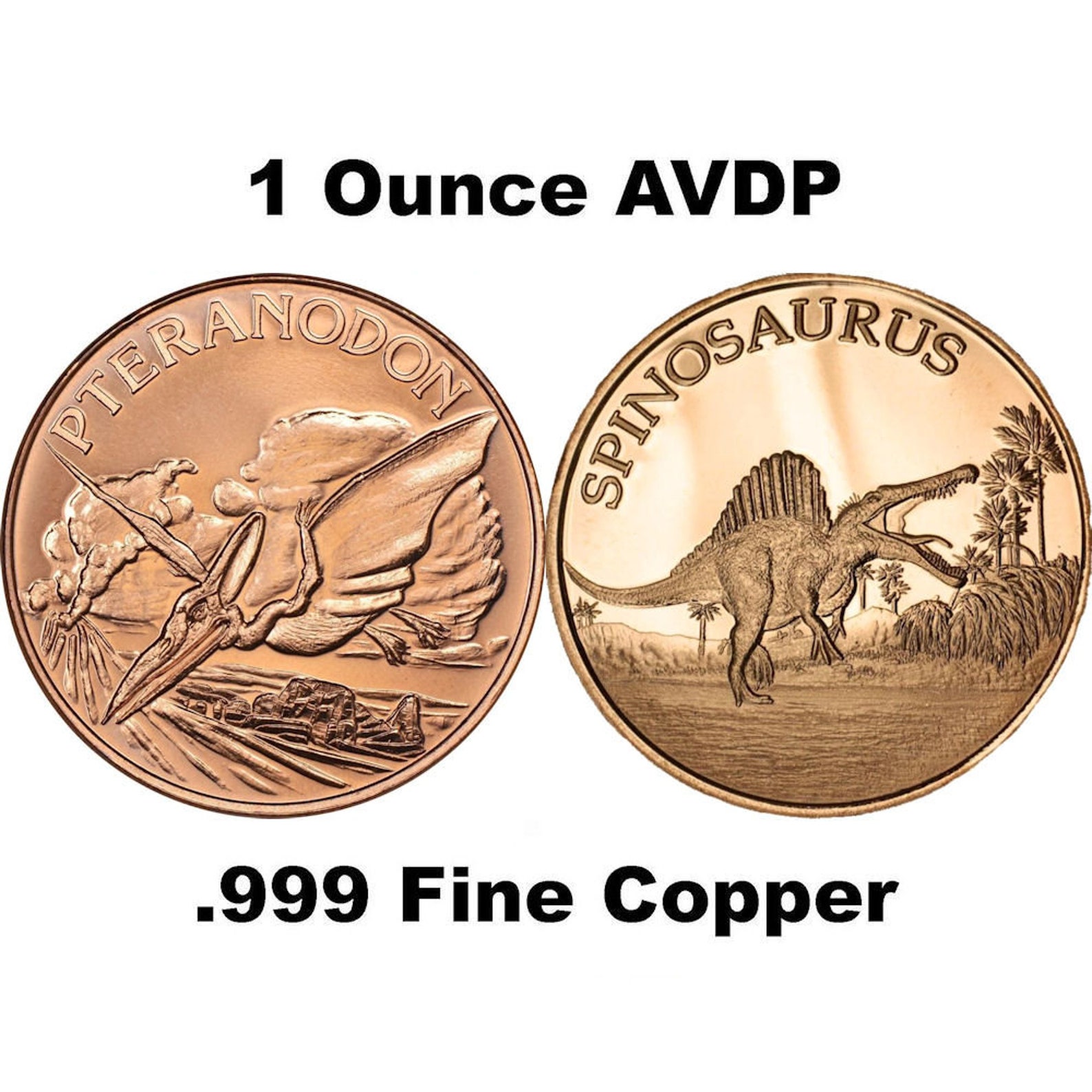 Extinct Creatures Dinosaur & Ice Age 1 Oz .999 Pure Copper - Etsy