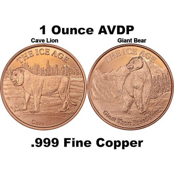 Ice Challenge Coin - Etsy