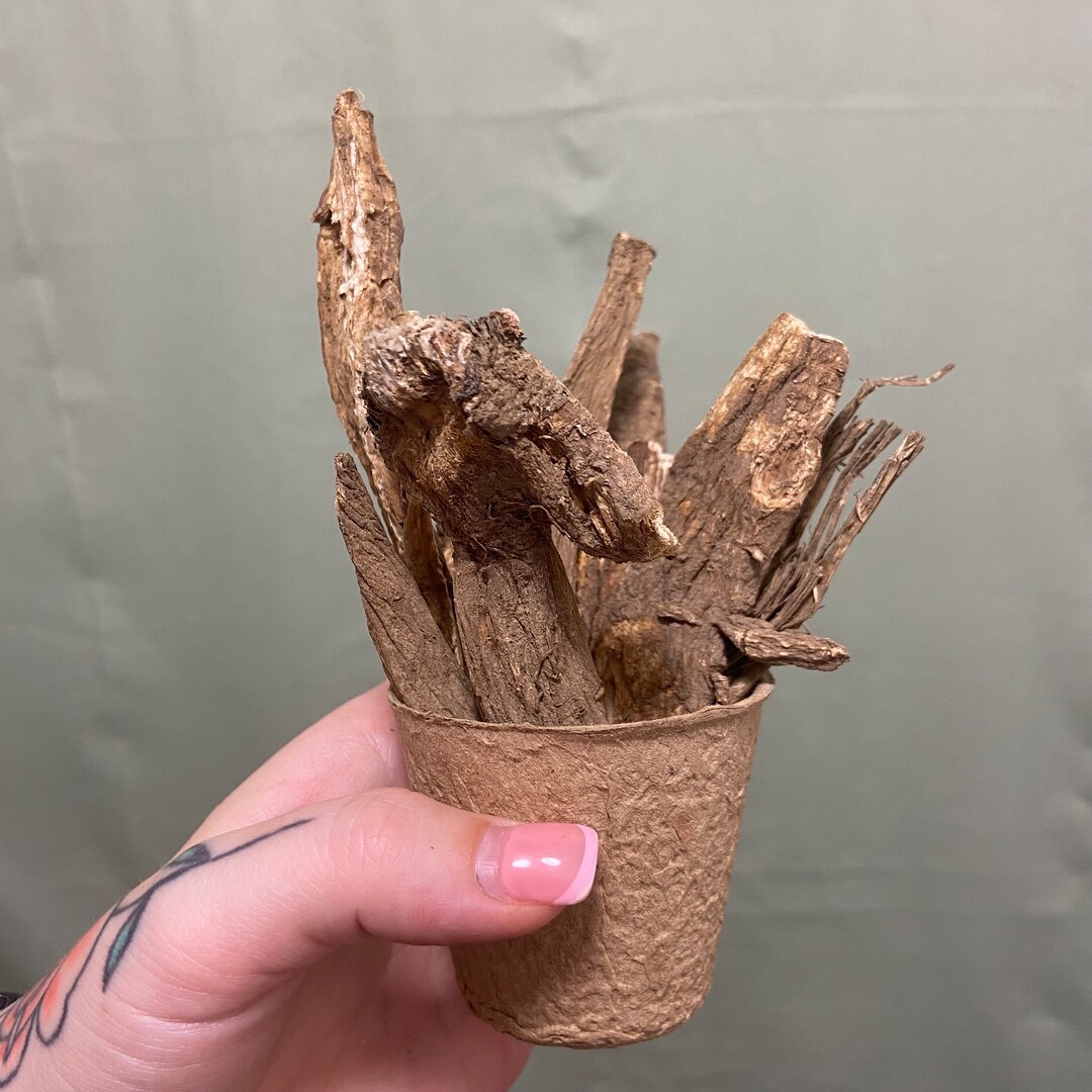 Quality Burock Root Bunny Rabbit Forage Treat Enrichment Small Animals ...