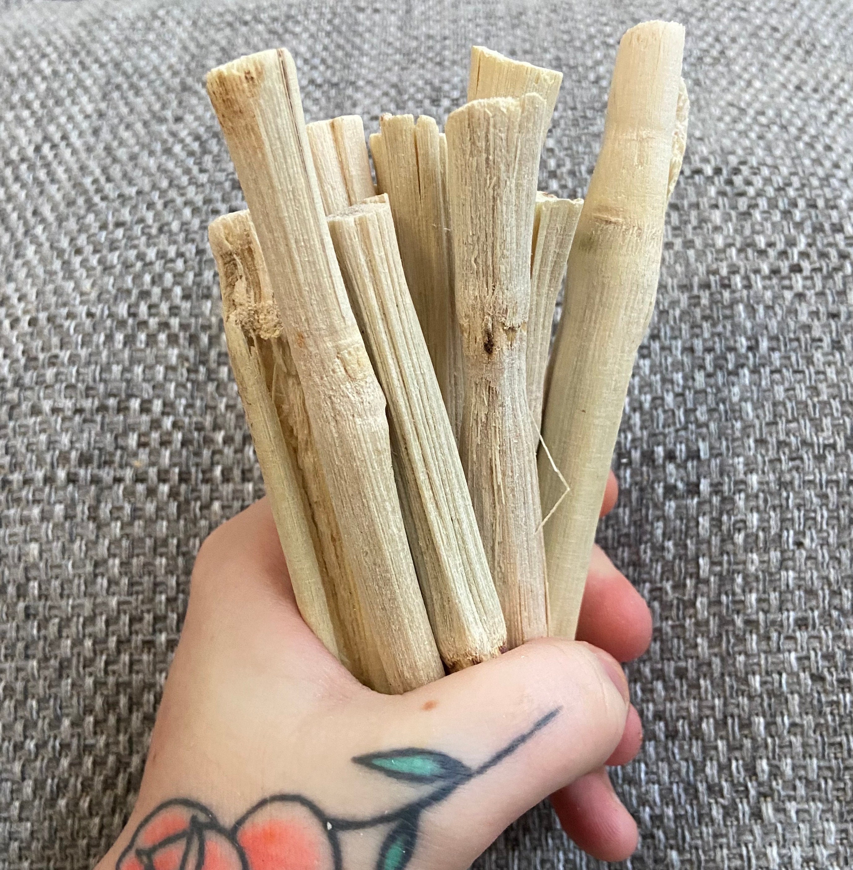 Sweet Bamboo Sugar Cane Bunny Rabbit Chew Gnaw Treat Sticks Small ...