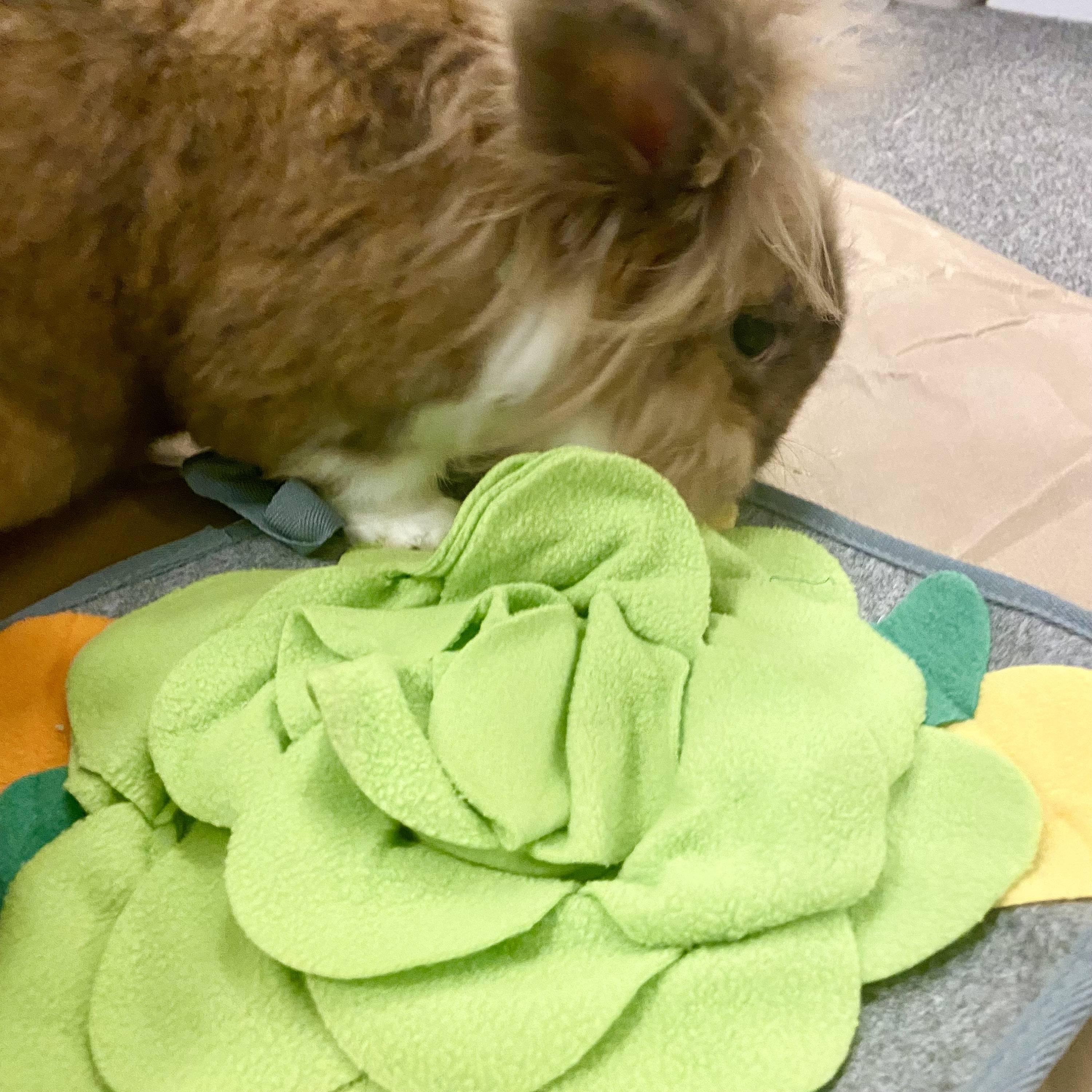 Flower Fruit Bunny Rabbit Snuffle Mat Slow Feeder Chew Treat - Etsy