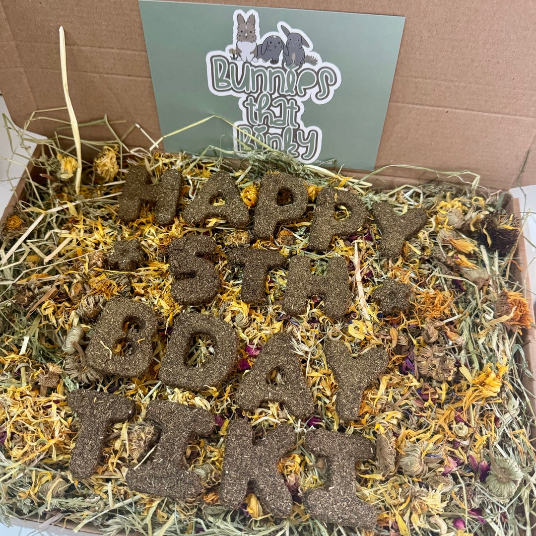 Medium FORAGE BOXES | Timothy Hay Treat Bunny Rabbit Enrichment Small ...