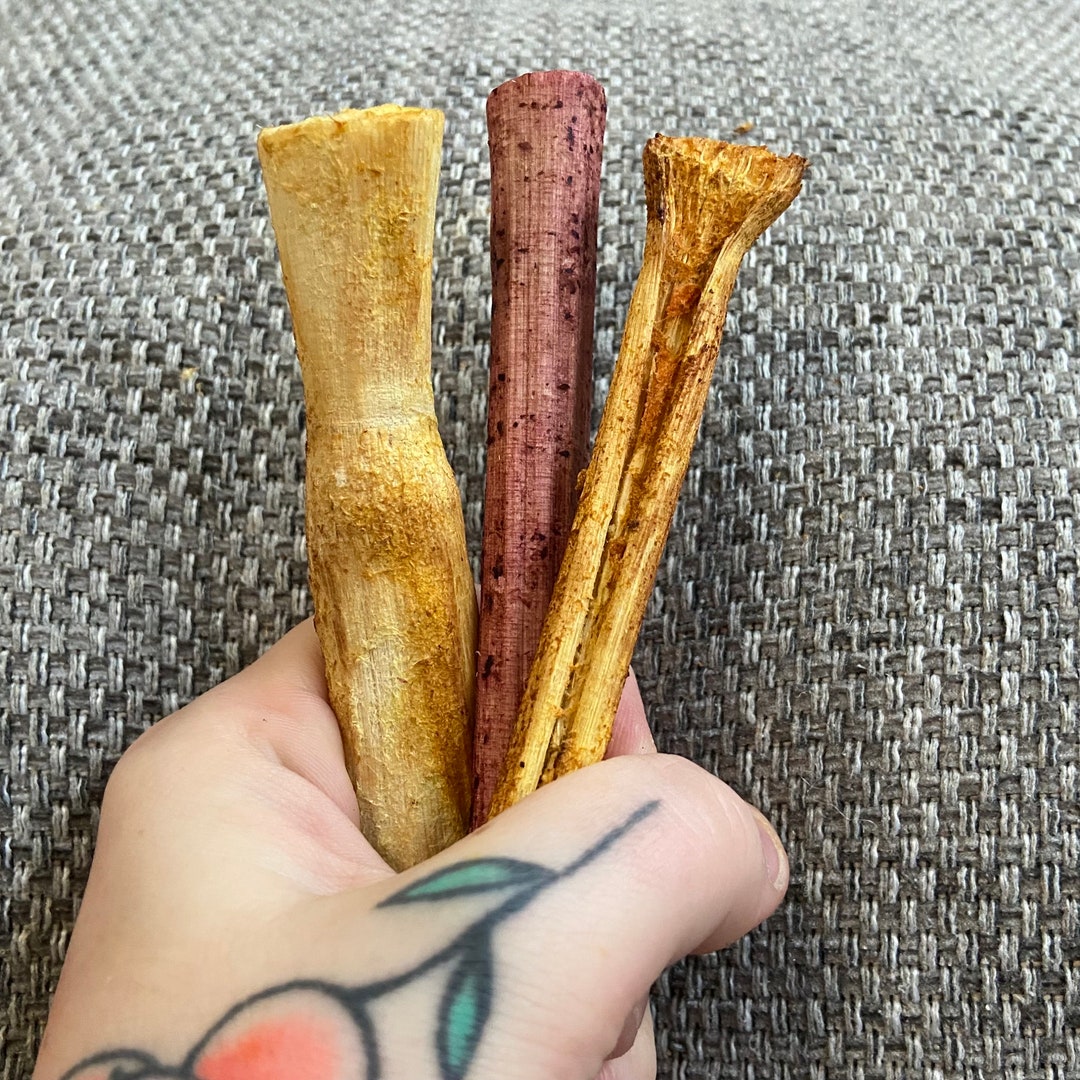 Fruit & Veg Infused Sweet Bamboo Sugar Cane Bunny Rabbit Chew Gnaw ...