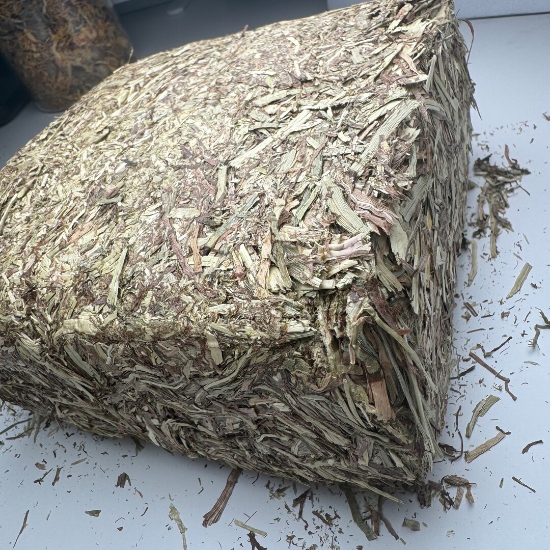 1KG TIMOTHY HAY BRICK**** Quality Forage Treat Food Bunny Rabbit ...