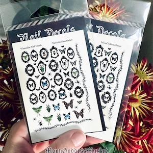 Taxidermy Mounted Beetles Butterflies Bugs Gothic Frames Goth Nail ...