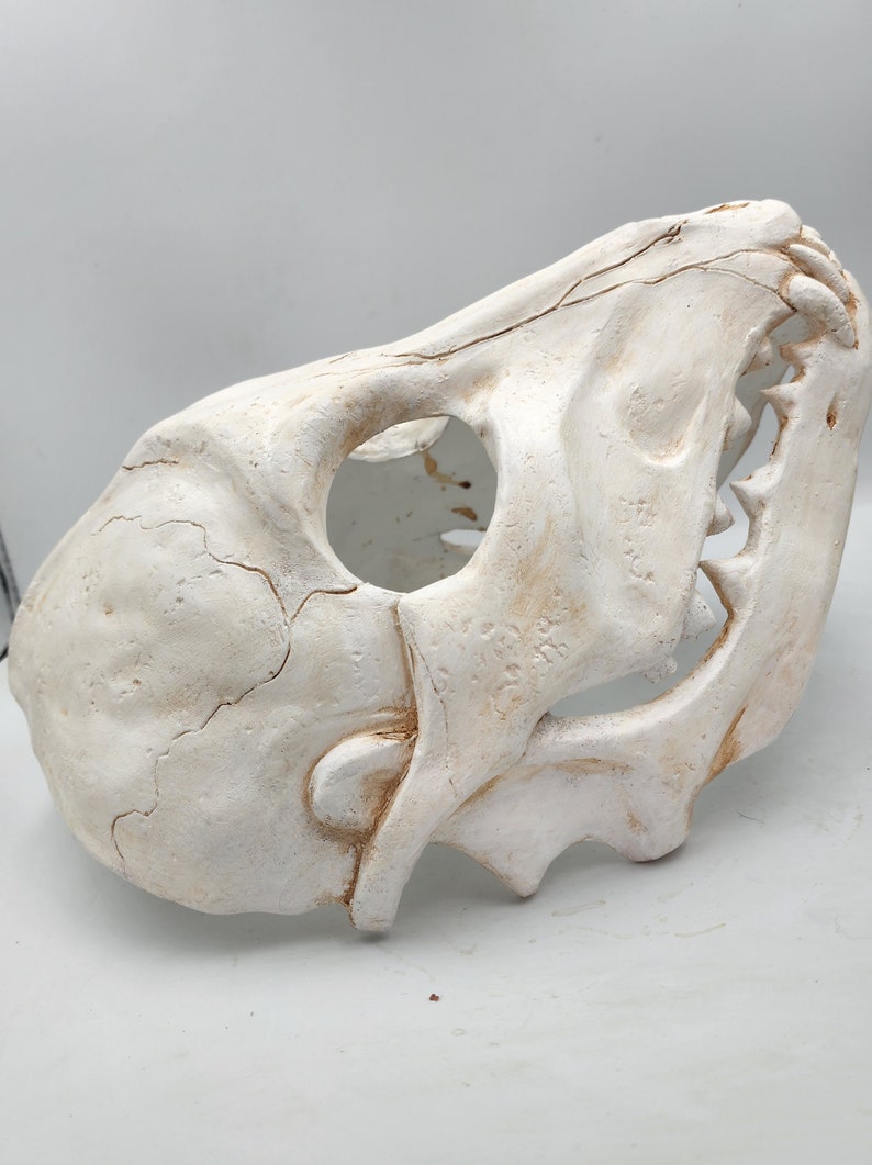 Wolf Skull Mask - Etsy