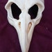 Crow Skull Mask - Etsy