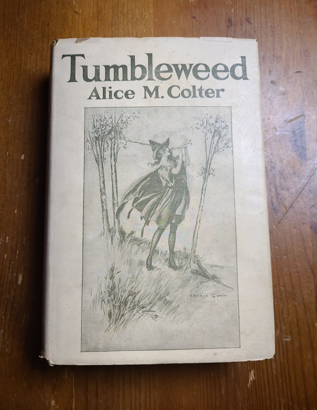 Tumbleweed by Alice M. Colter: 1916 1st Edition Antique Book - Etsy