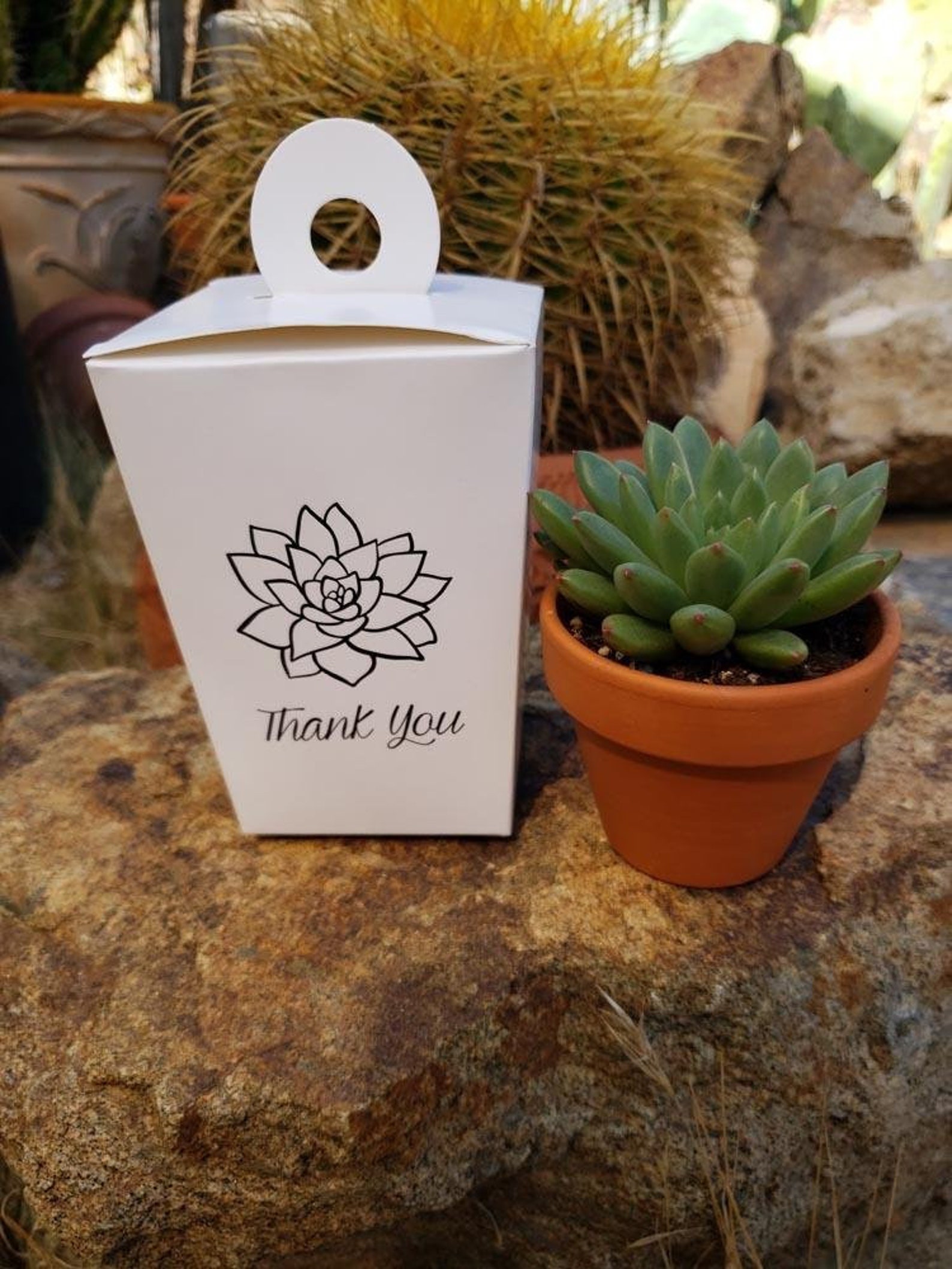 Guest Travel Box - Thank You or Blank - to Go Box for Weddings, Showers ...