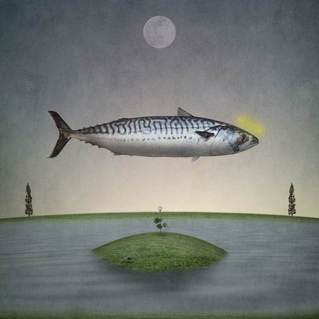 Holy Mackerel - Etsy