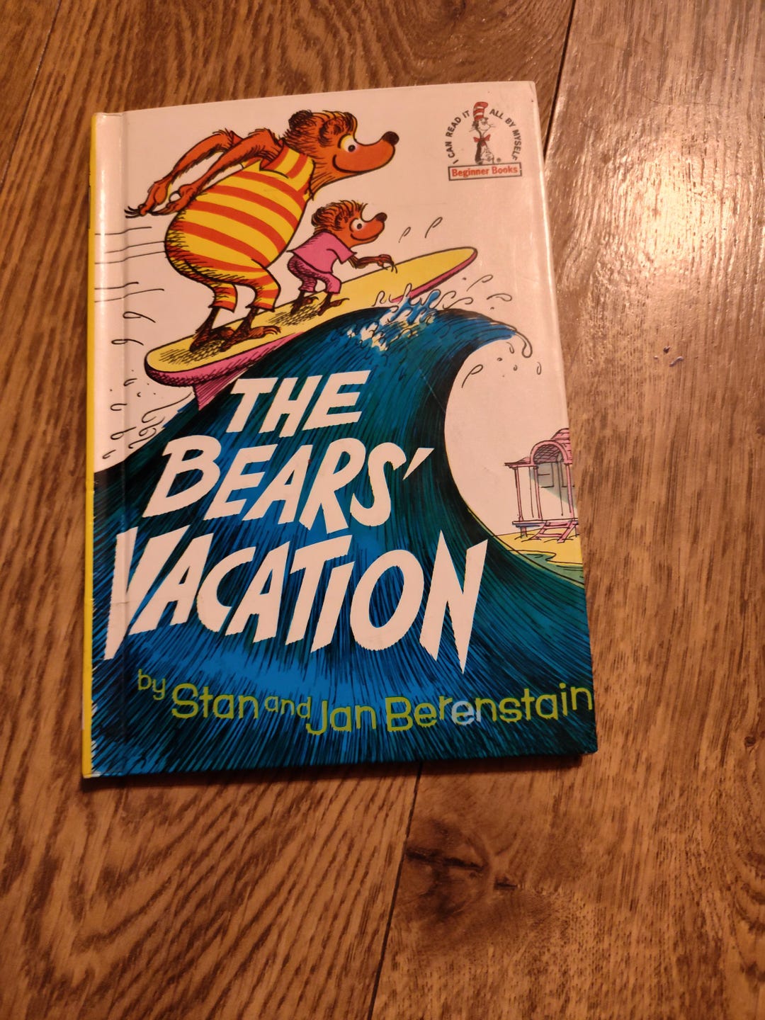 The Bears' Vacation Written By: Jan & Stan Berenstain - Etsy