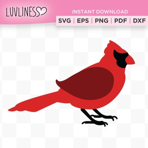Cardinal SVG, Cardinal Cut Files for Cricut and Silhouette, Vector ...