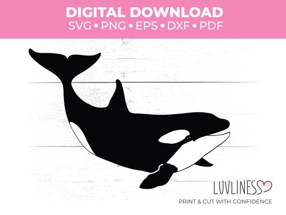 Killer Whale SVG Orca Whale Instant Download Orca Clipart | Etsy