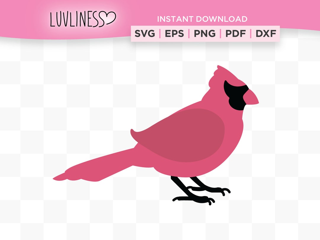 Cardinal SVG, Cardinal Cut Files for Cricut and Silhouette, Vector ...