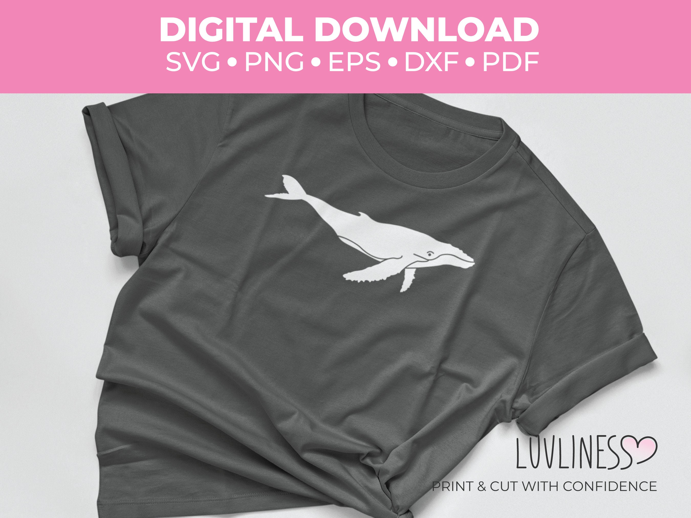 Humpback Whale SVG Whale SVG Instant Download for Cricut - Etsy