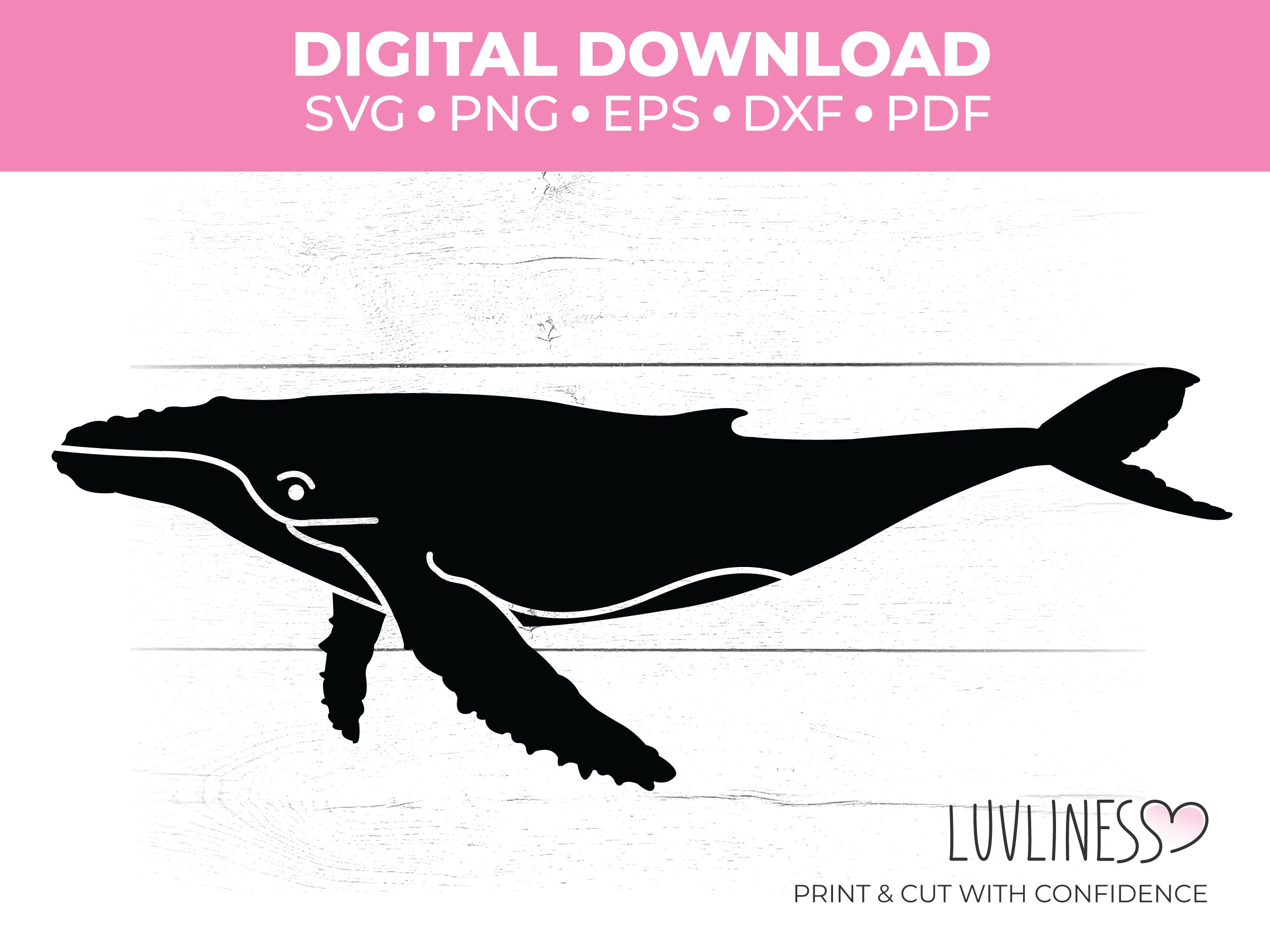 Humpback Whale SVG Whale SVG Instant Download for Cricut - Etsy