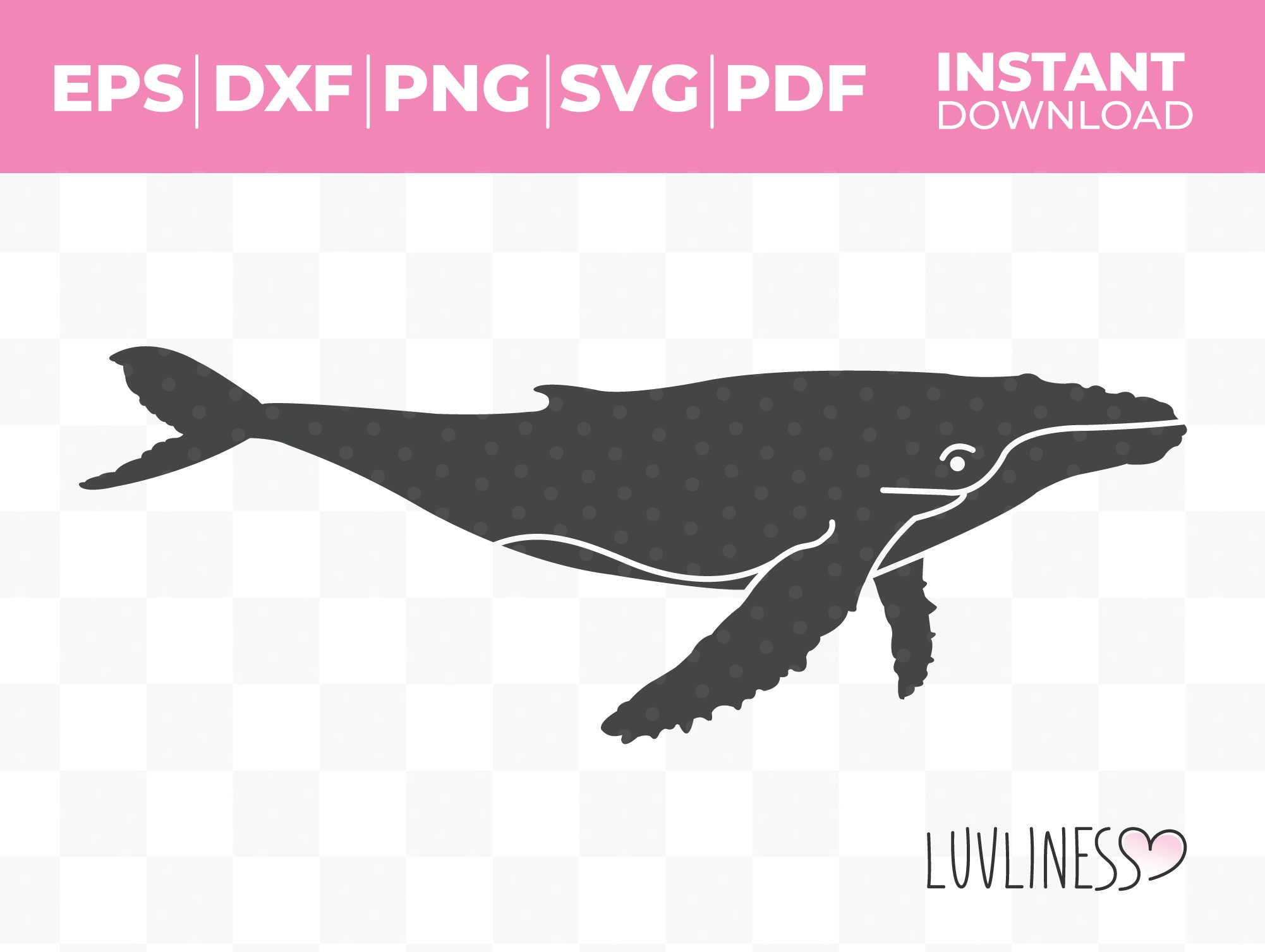 Humpback Whale SVG Whale SVG Instant Download for Cricut - Etsy