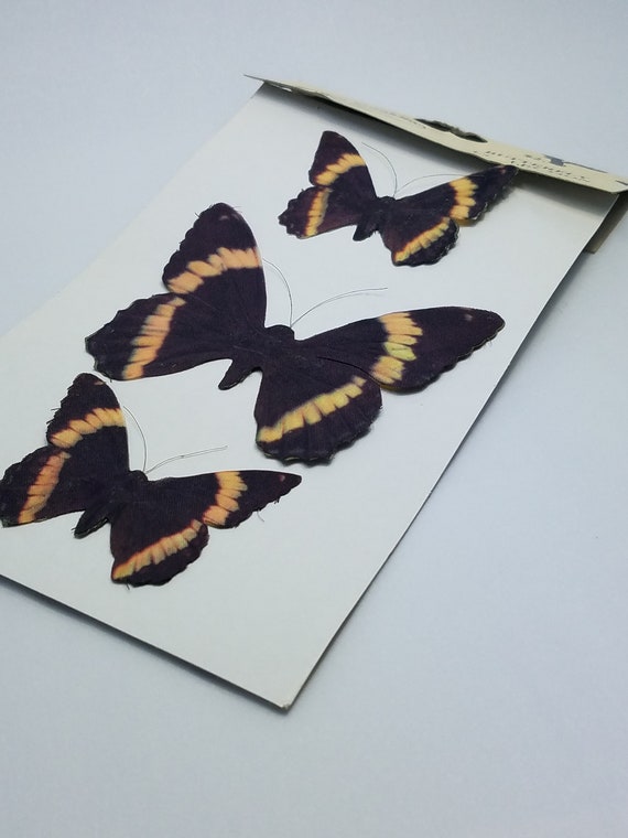 Butterfly Collection 3 Wired Butterfly Pieces | Etsy