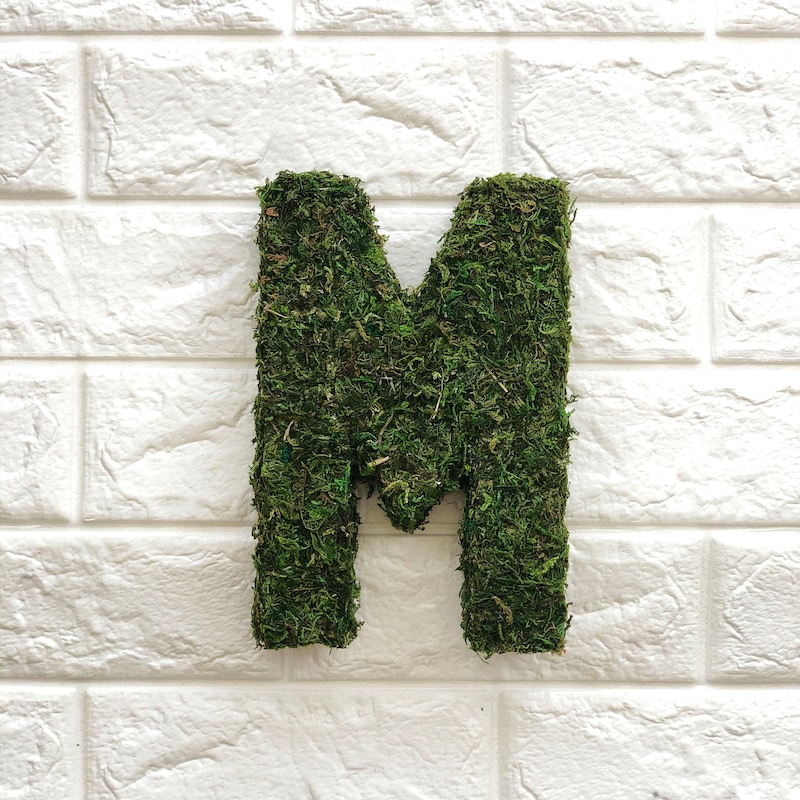 Moss Letters - Etsy
