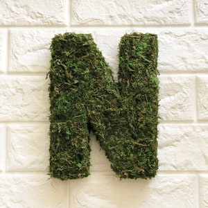 8" Moss Letters, Moss Numbers, Party Decoration, Preserved Moss, Unique ...