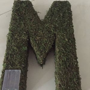 Moss Letters and Number With Lights, Preserved Moss, Battery Operated ...