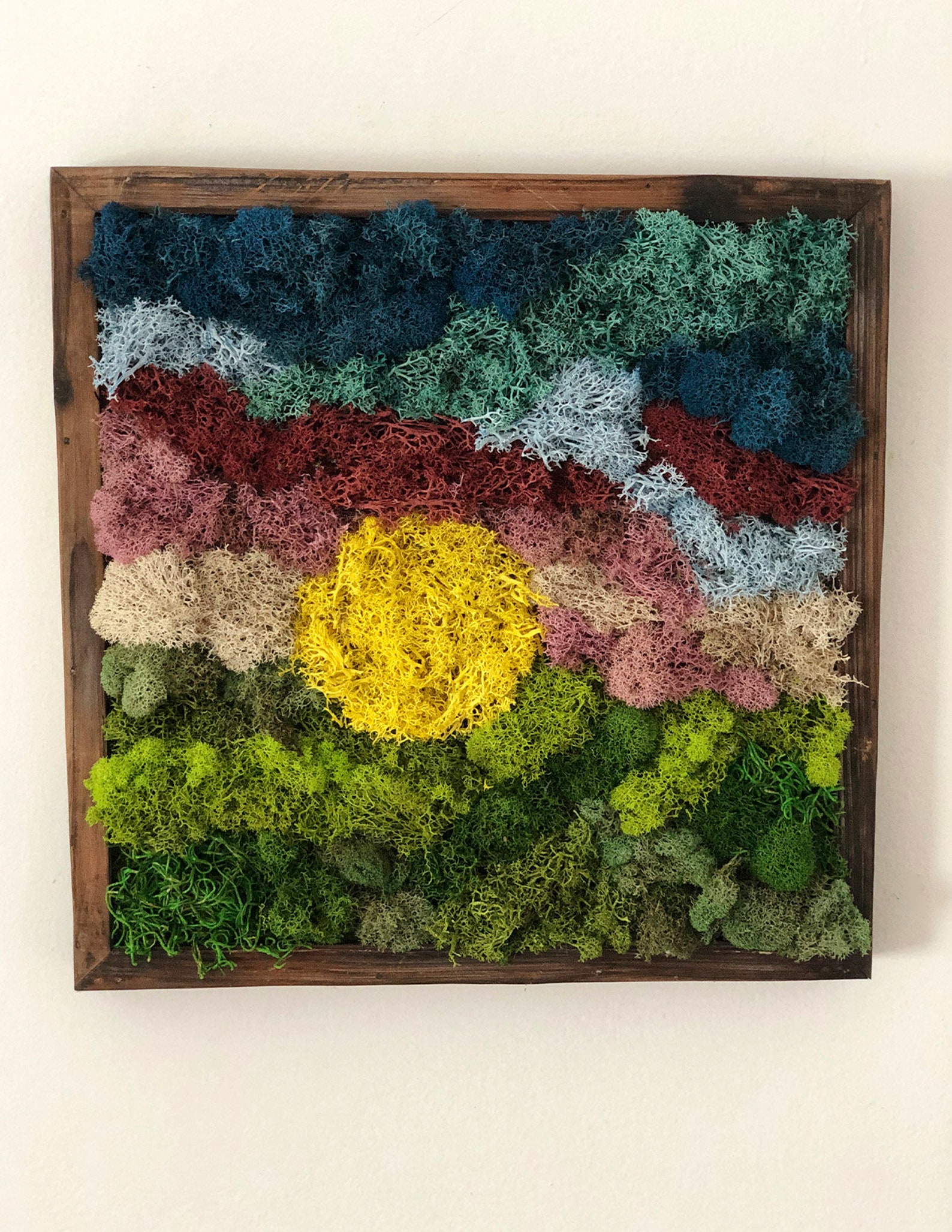 Moss Wall Decor Moss Art Moss Wall Hanging - Etsy