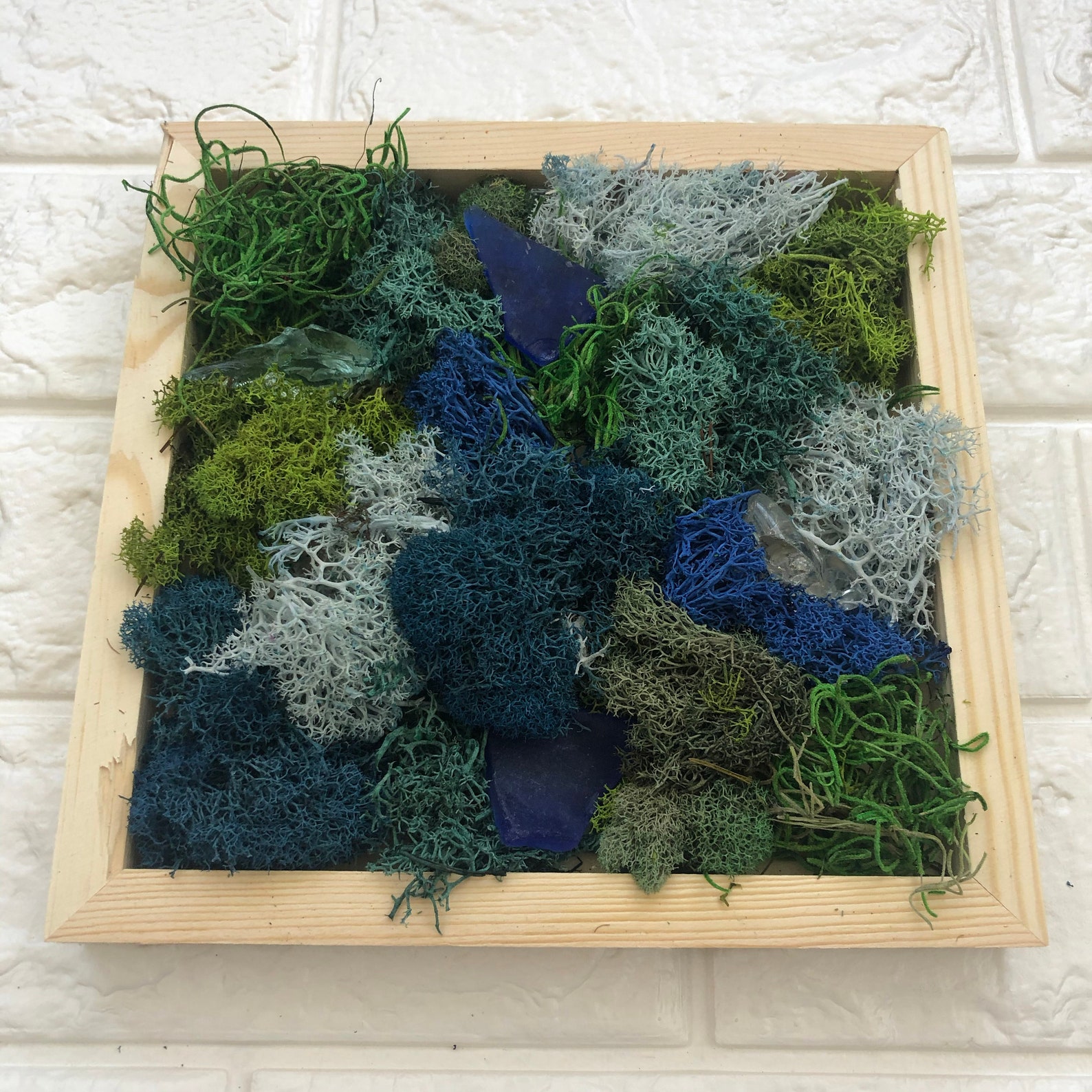 Moss DIY Kit DIY Gift Adult DIY Kit Kid diy Moss Box | Etsy